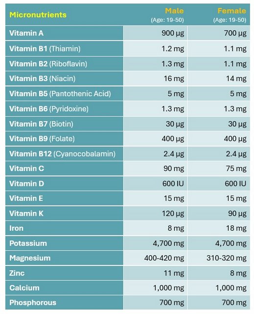 Guide on How to Eat Healthy: Micronutrients - Salads Square Blog